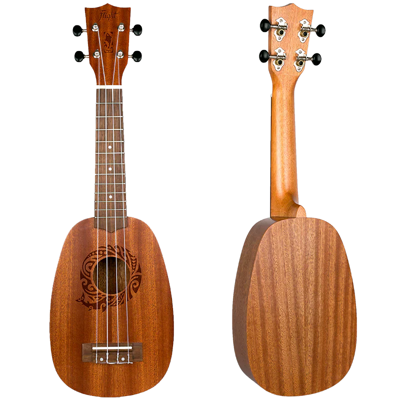 Why the Ukulele Is the Best First Instrument for Students – Twigg Musique