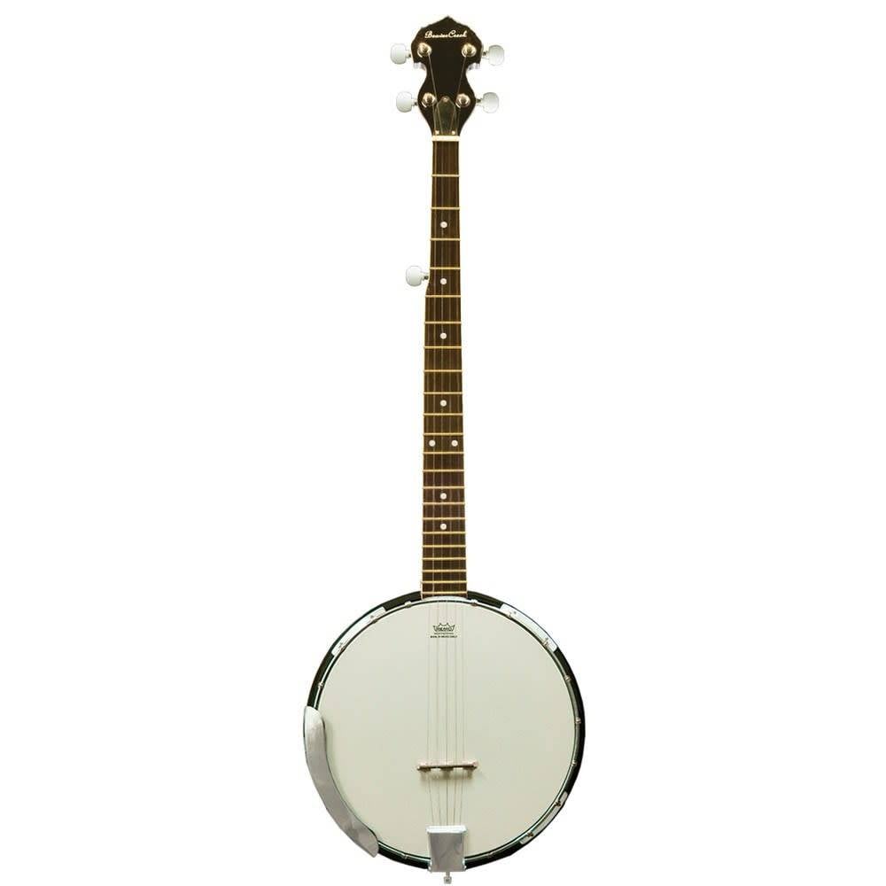 Banjo Beaver Creek 5 cordes – Twigg Musique